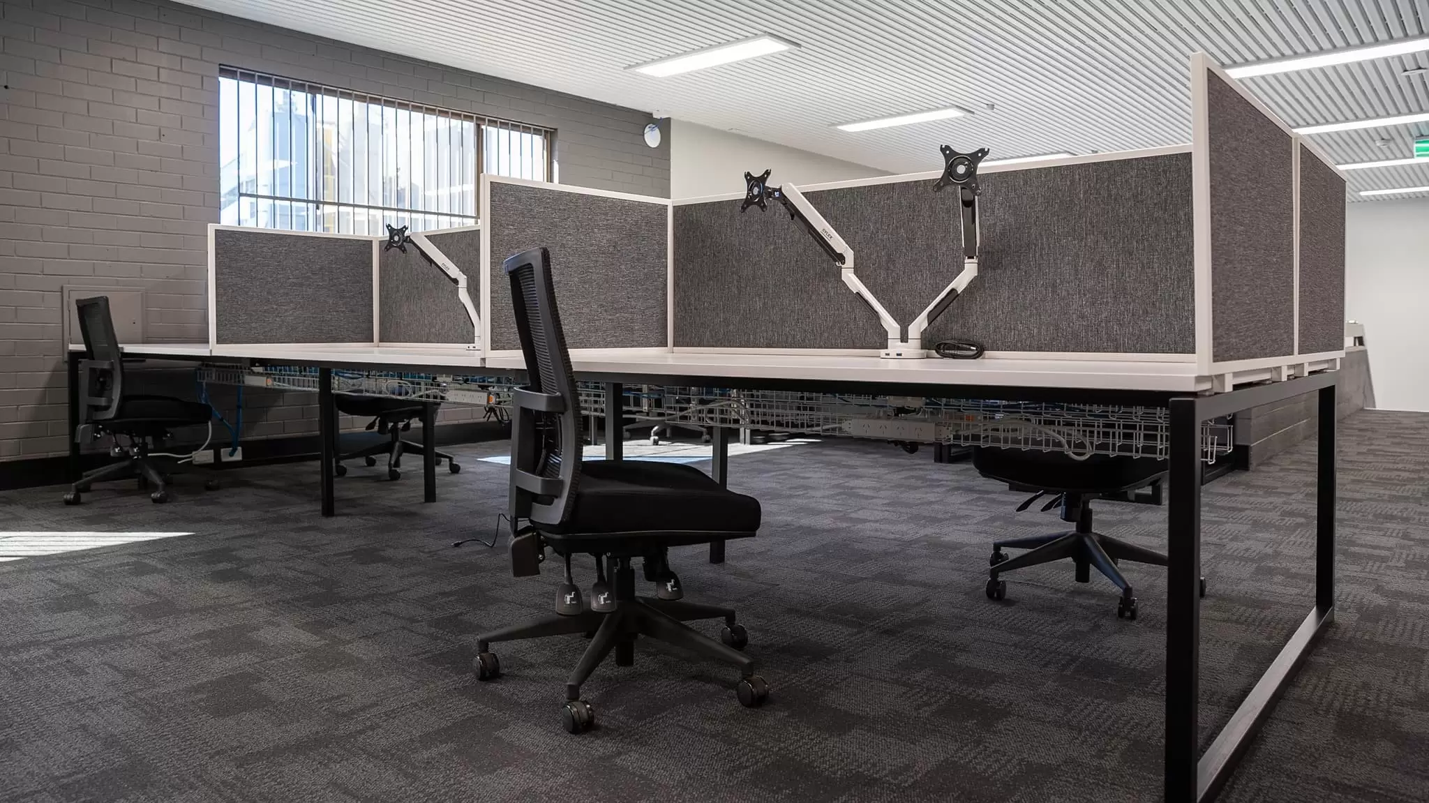 Ignite Search Client Case Studies