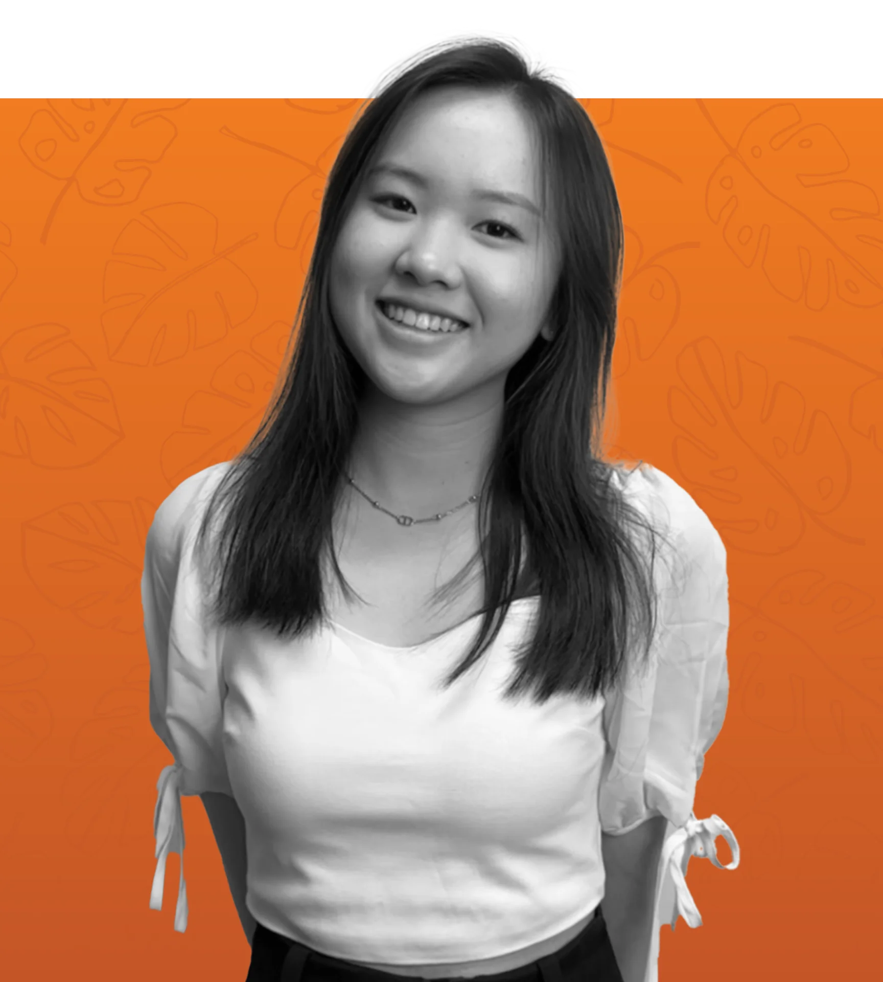 About Us - Ignite Search