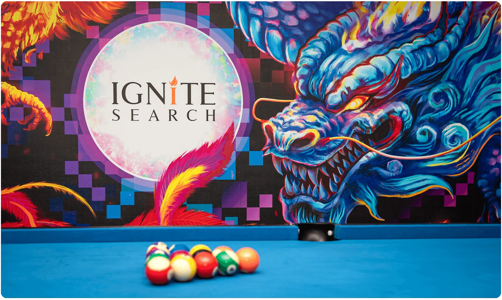 About Us - Ignite Search