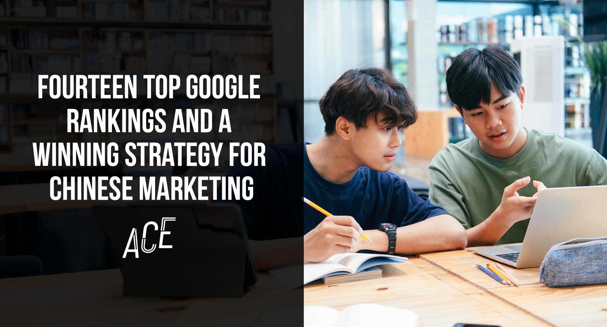 HSC Tutoring SEO Case Study & Chinese Marketing | ACE HSC Tuition’s Growth with Ignite Search
